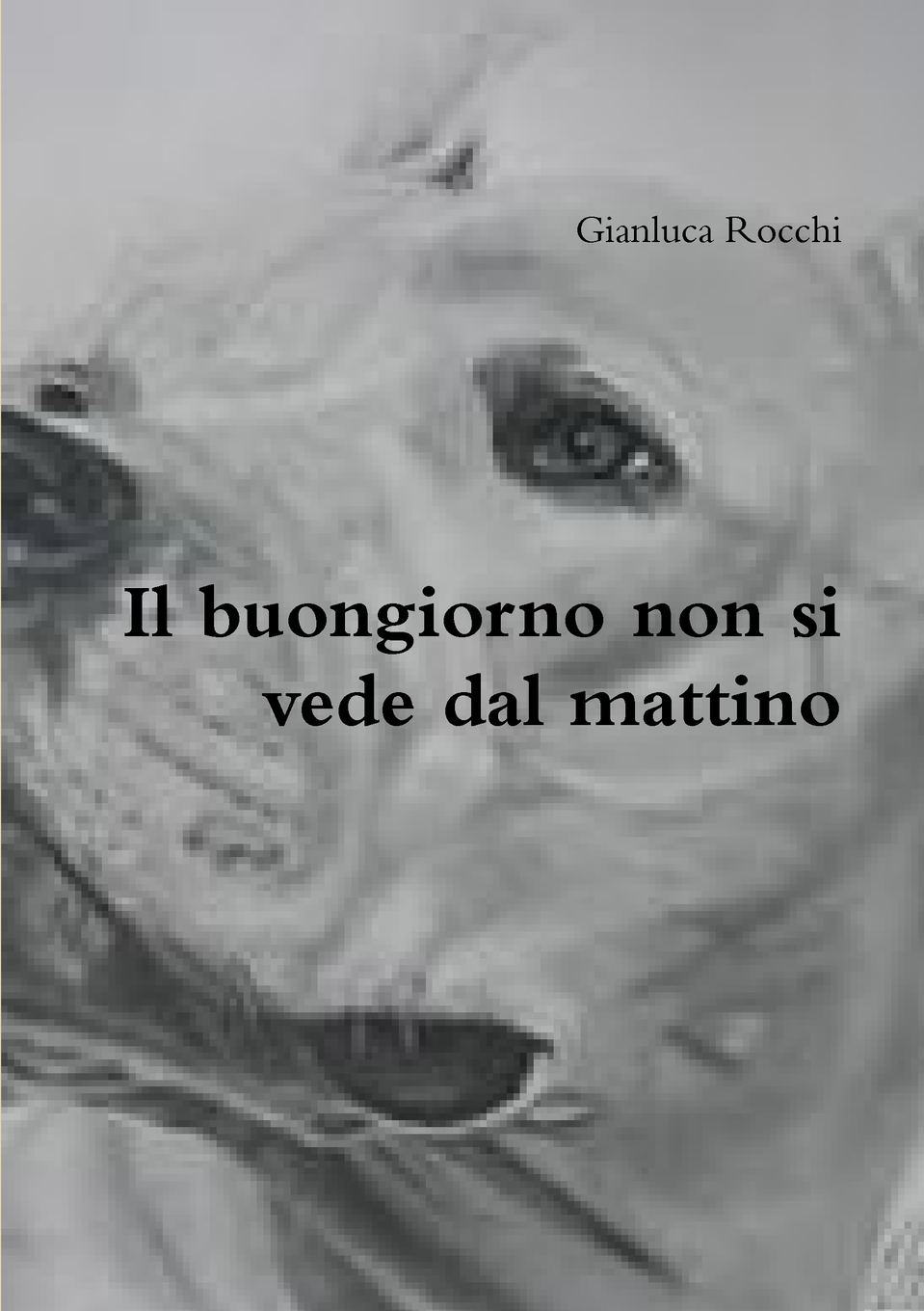 Buy Il buongiorno non si vede dal mattino