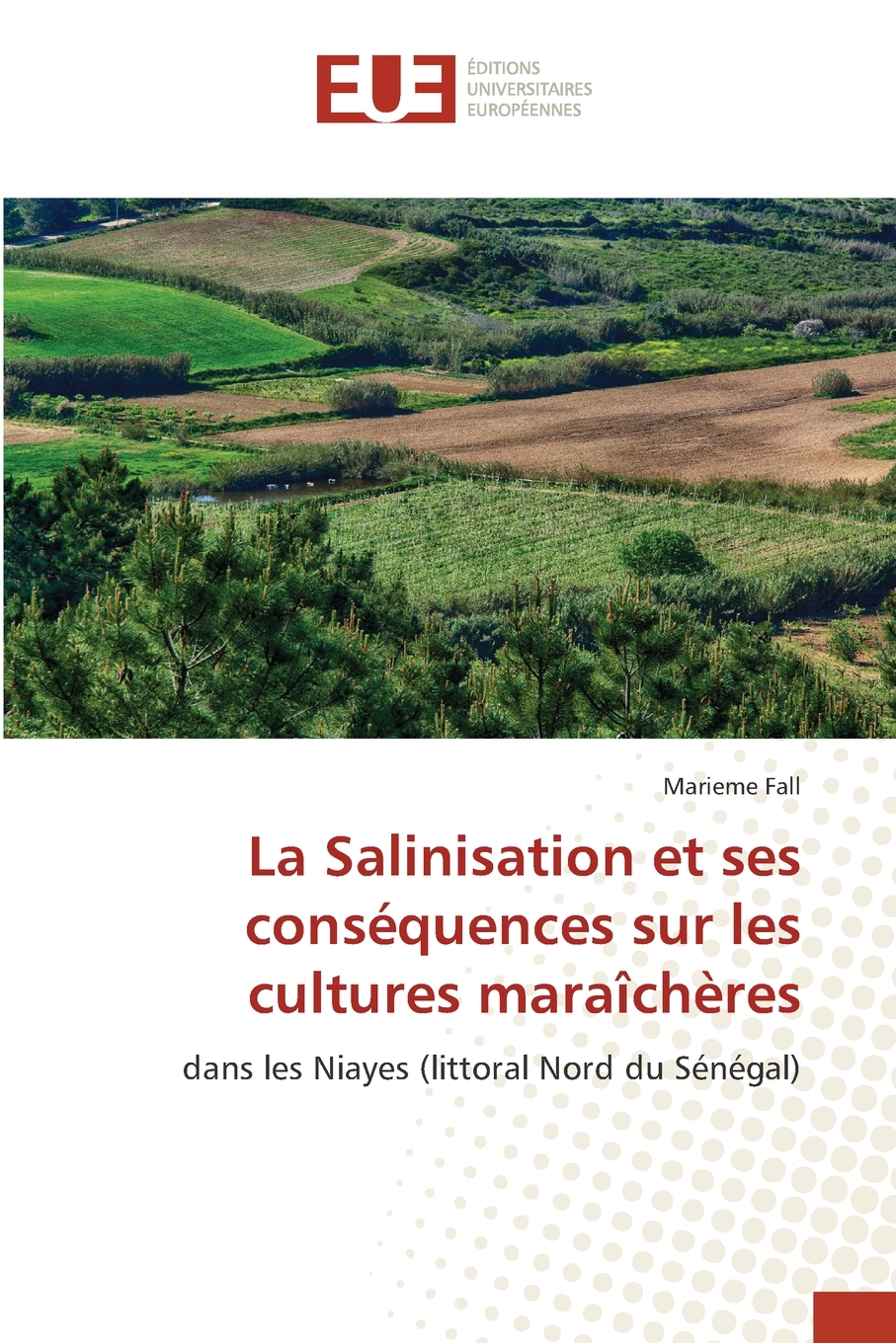 Buy La Salinisation et ses conséquences sur les cultures maraîchères