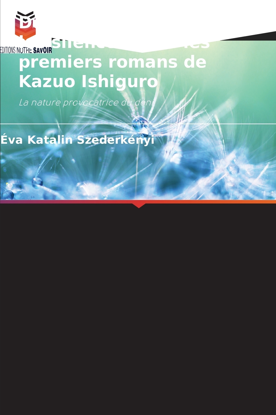 Buy Décrypter les lacunes et les silences dans les premiers romans de ...