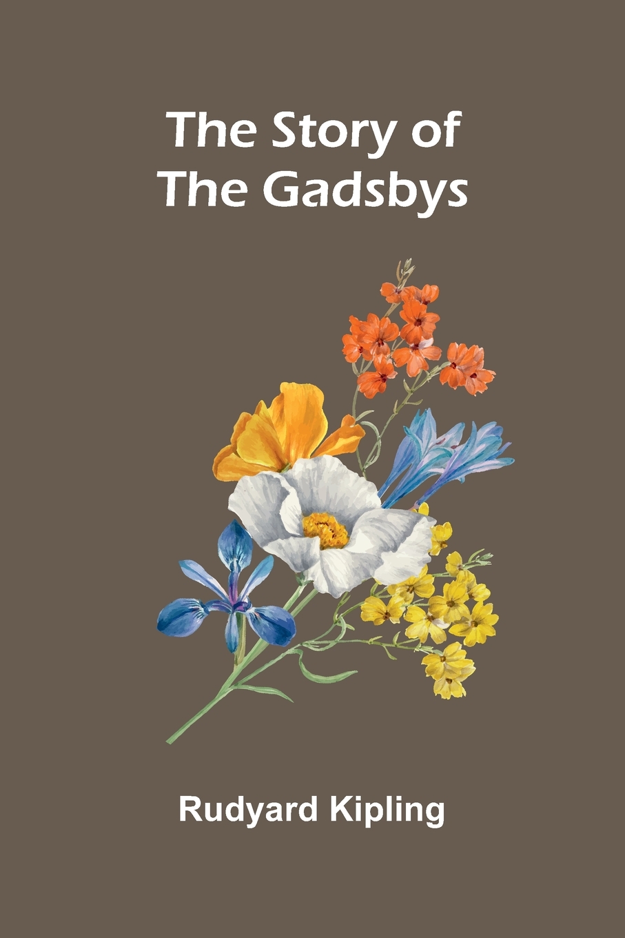Bookscape | Buy The Story of the Gadsbys