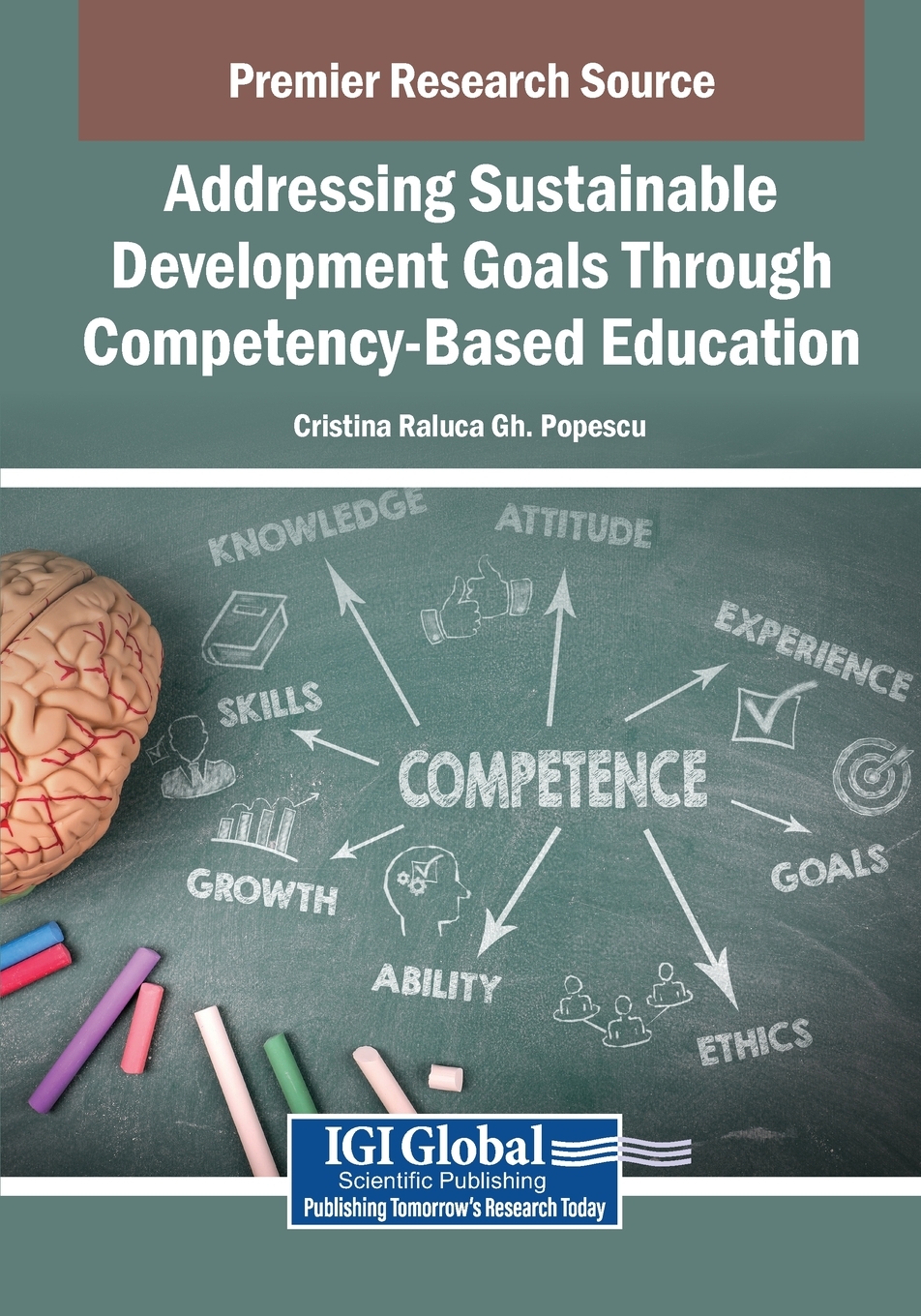 Buy Addressing Sustainable Development Goals Through Competency-Based ...