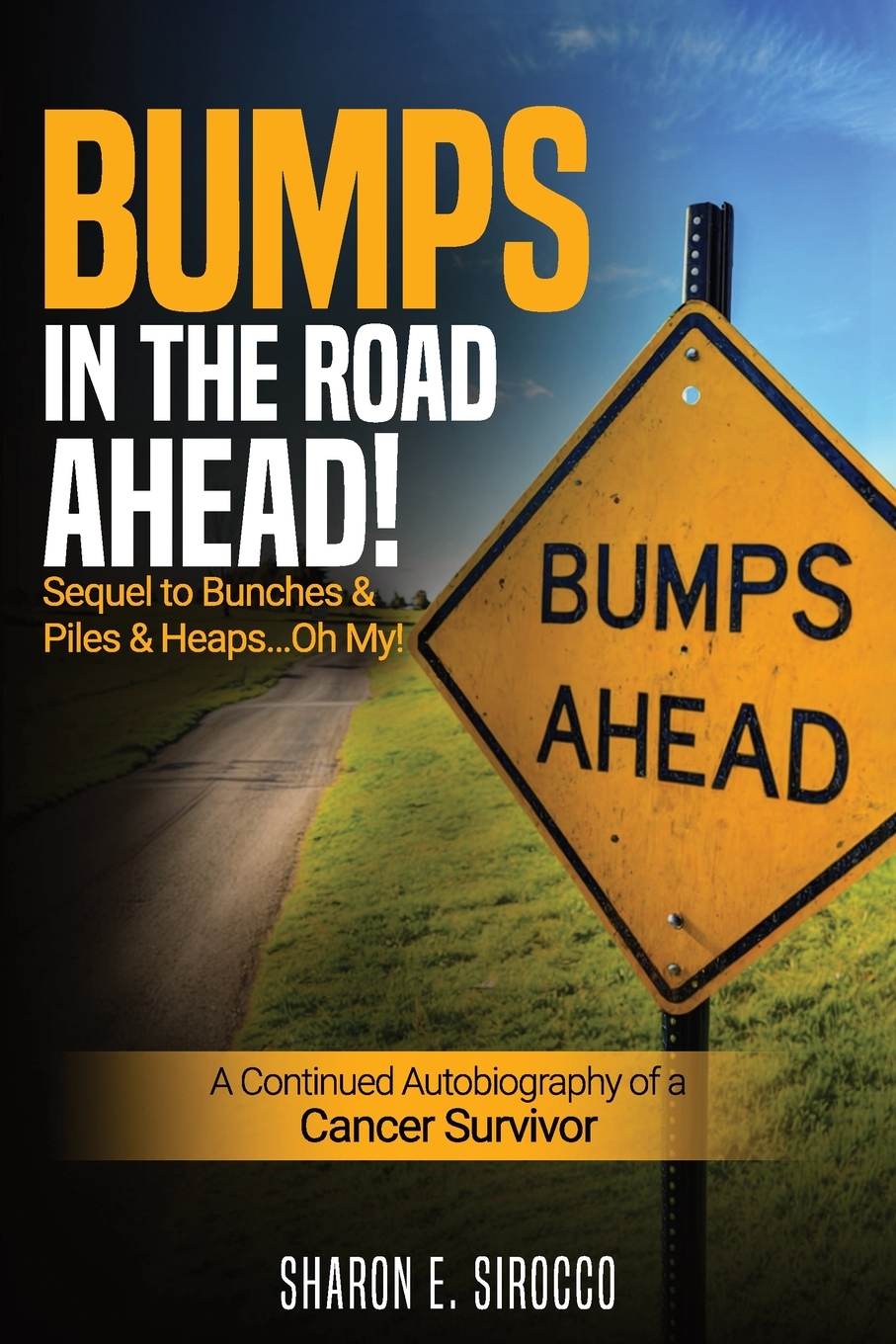 Buy Bumps in the Road Ahead Book Online at Best Price | Bookscape